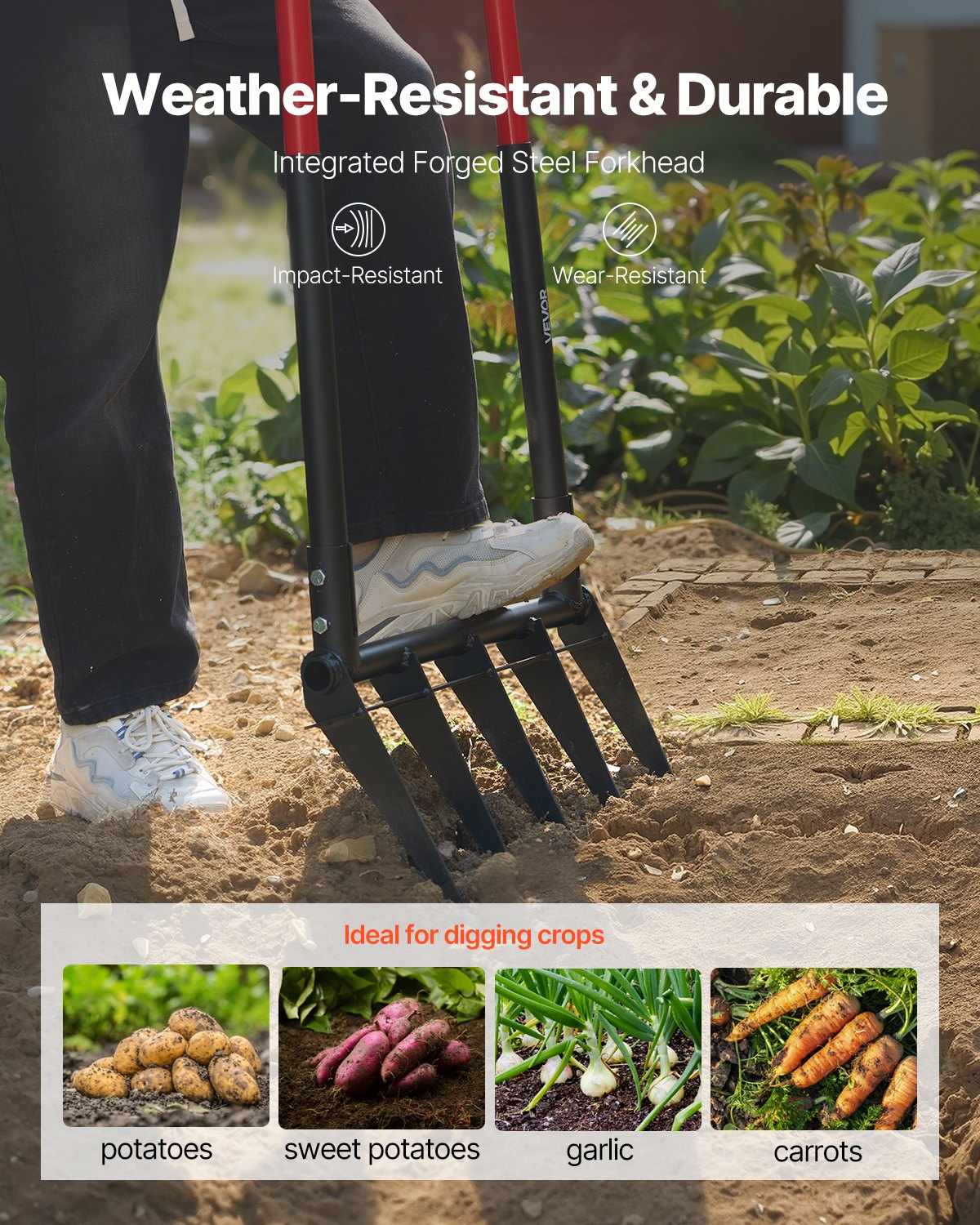 5 Tine Broad Fork Tool Heavy Duty U-Shaped Pitch Fork for Gardening ...